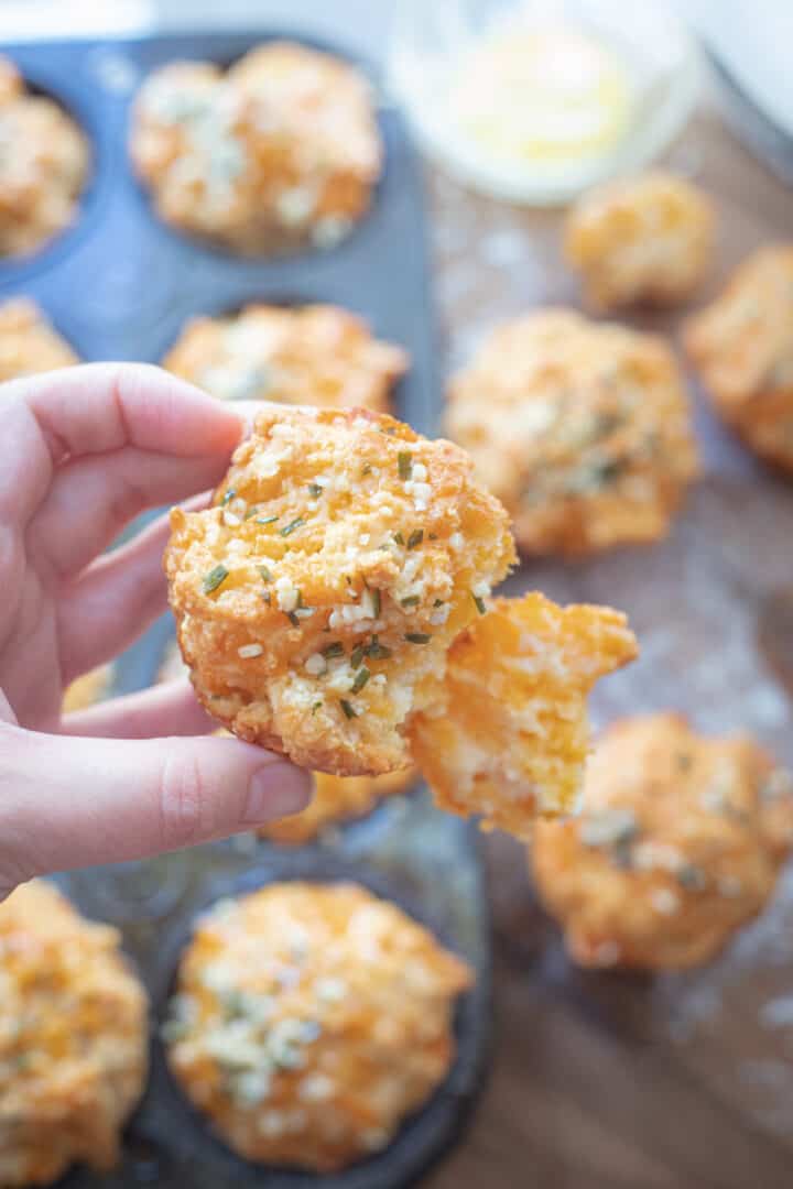 Beer Cheddar Rolls - The Hangry Economist
